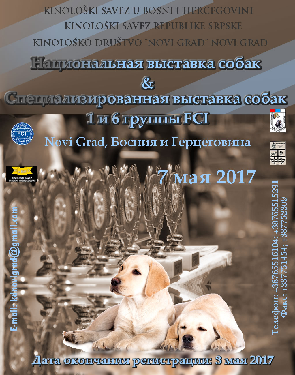 National Dog Show CAC BIH Novi Grad Specialty Dog Show For FCI Groups national-dog-show-cac-bih-novi-grad-specialty-dog-show-for-fci-groups