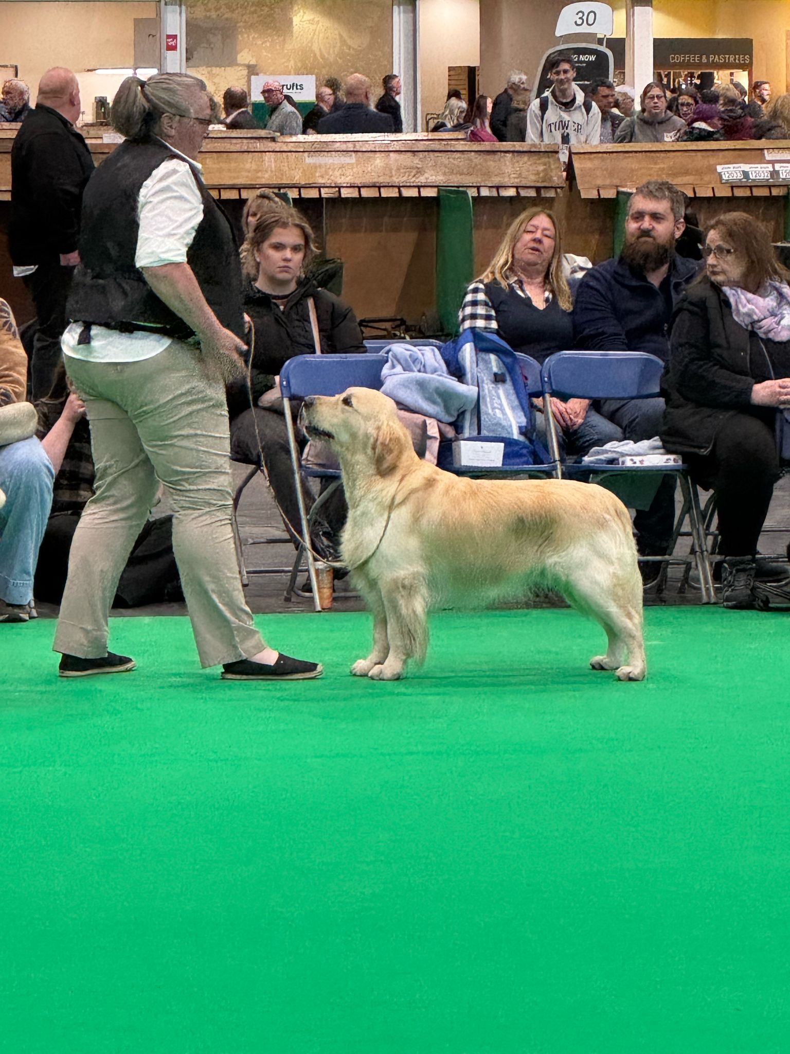 Elizabeth Tait-Dog Handler – Jelena Dogshows