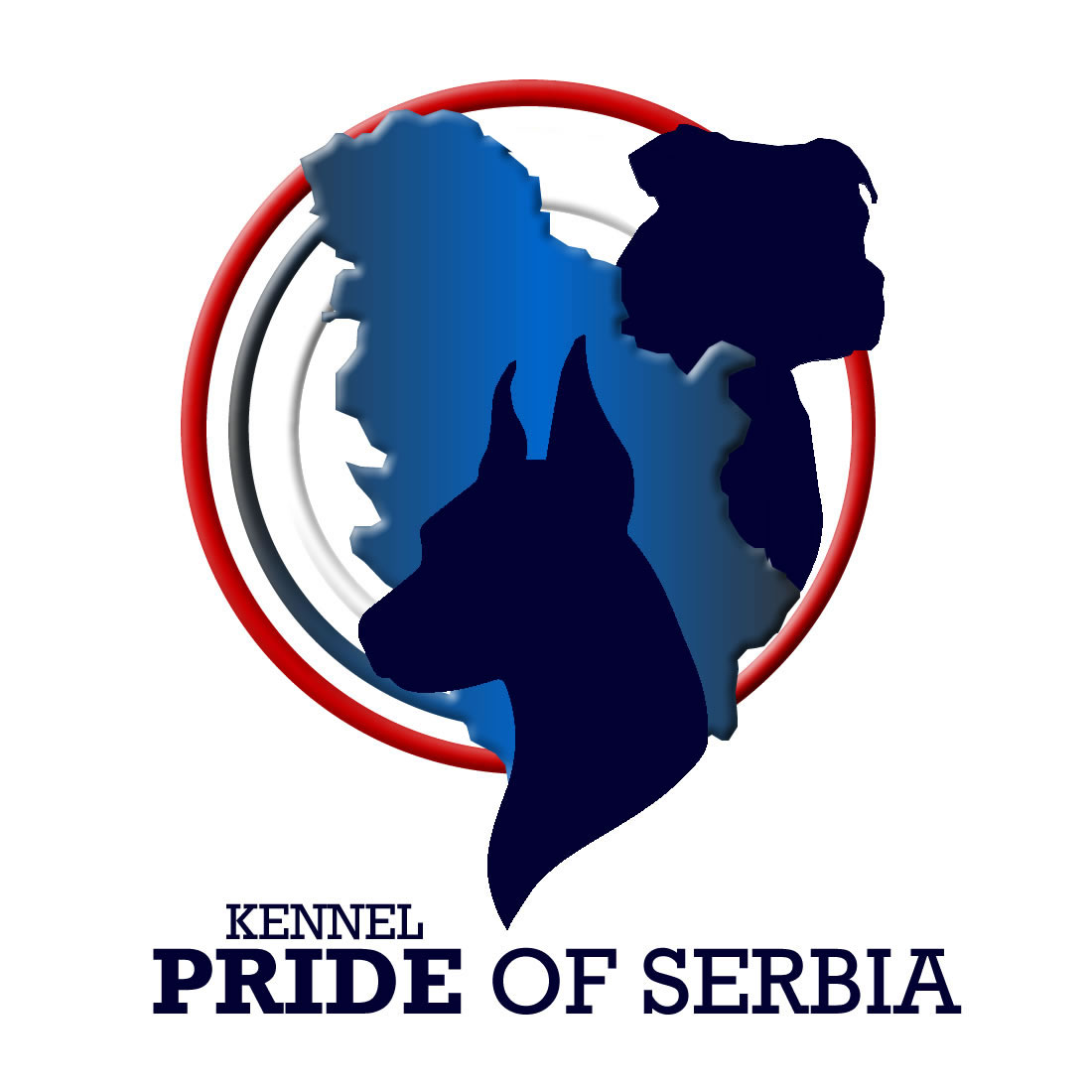 The Successful Return of the PRIDE OF SERBIA Kennel – Jelena Dogshows