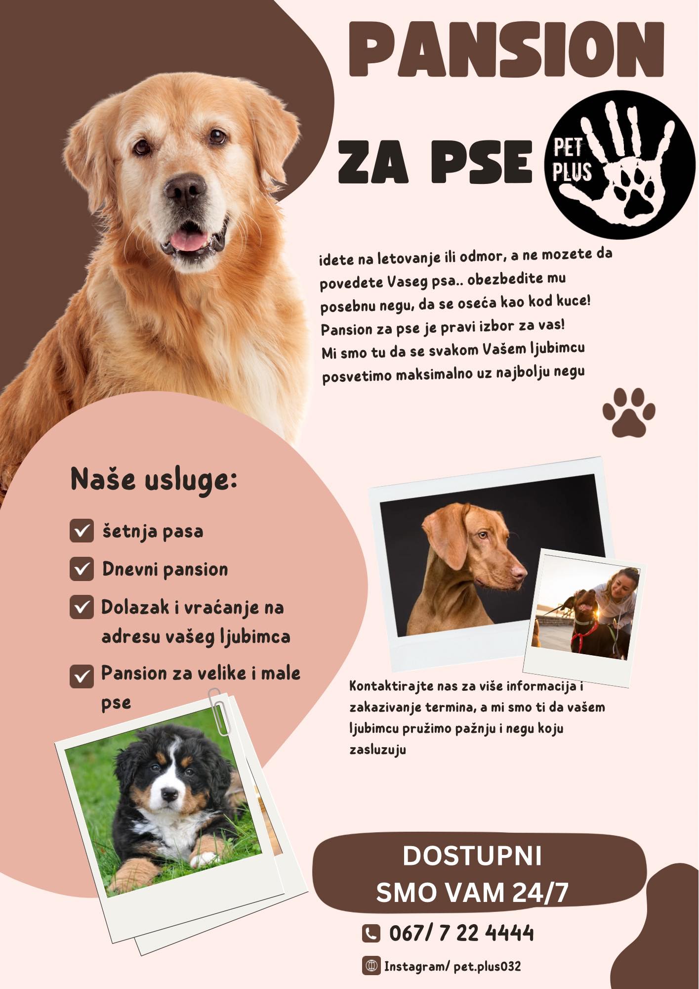 Pansion za pse ,,Pet Plus” – Jelena Dogshows